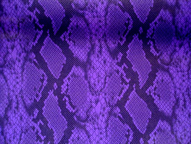 Snake print (grape/blk/clear)