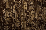 Stretch Crushed Velvet (Burnt Olive)